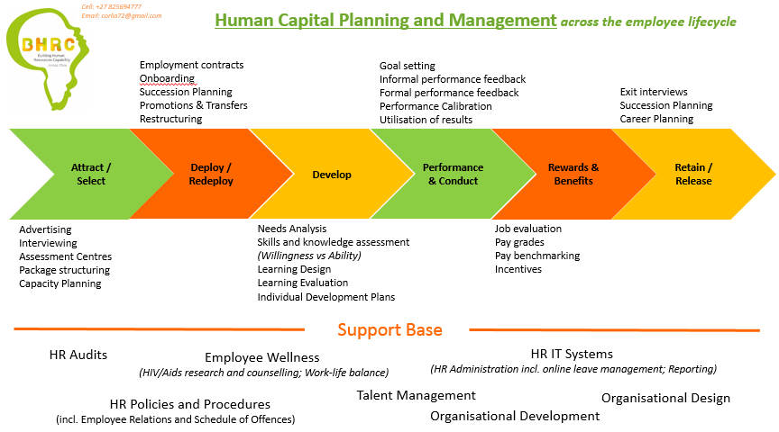 Building HR Capability across Africa - Black Swan